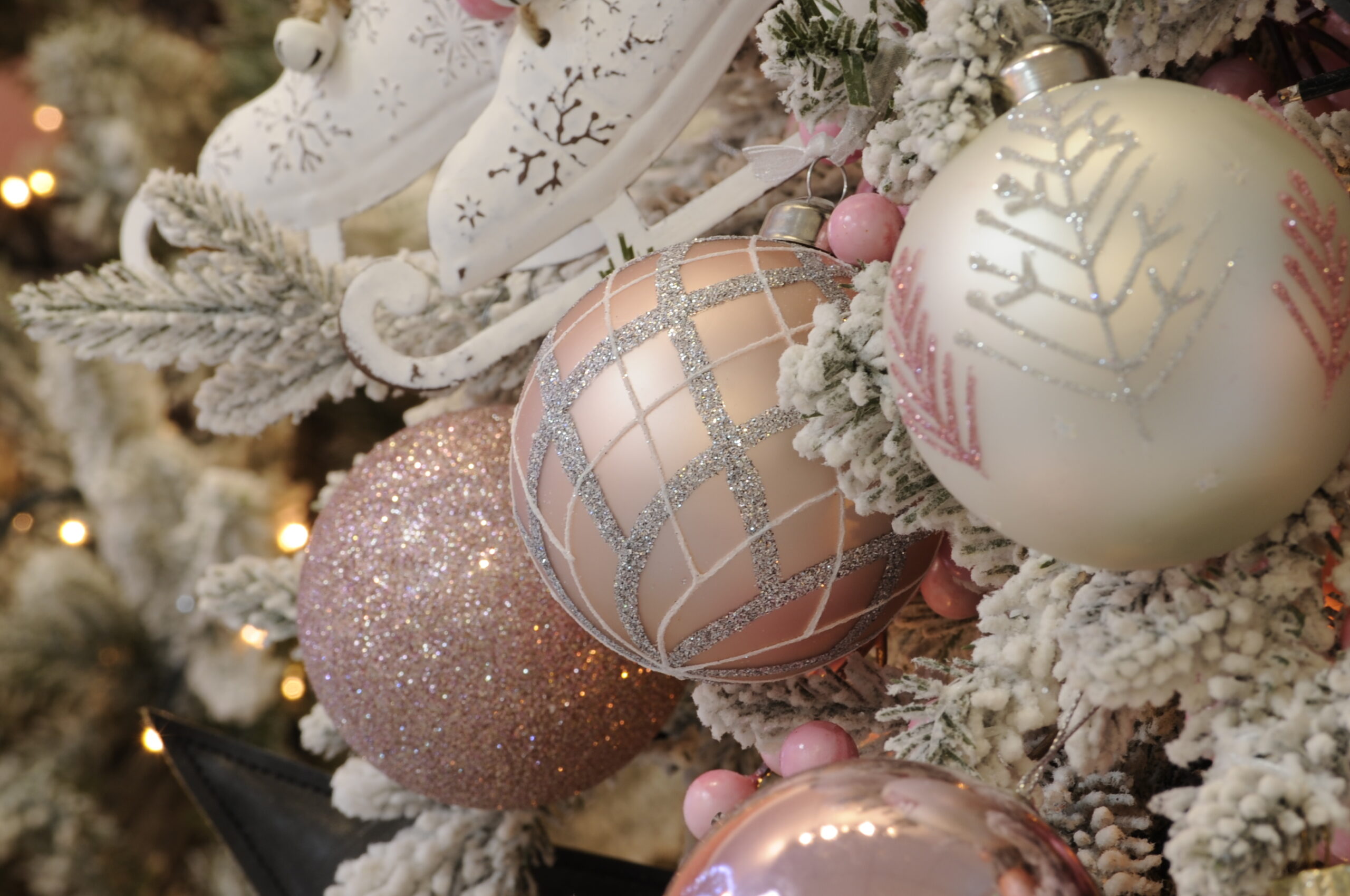 How to Order - Festive