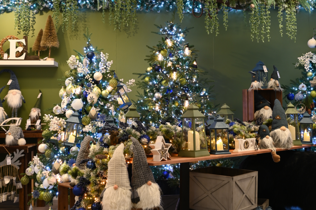 How to Order - Festive